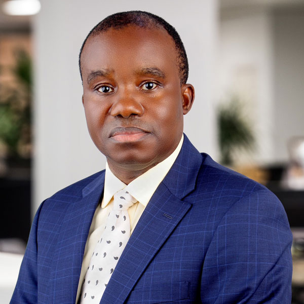 Africa - British International Investment