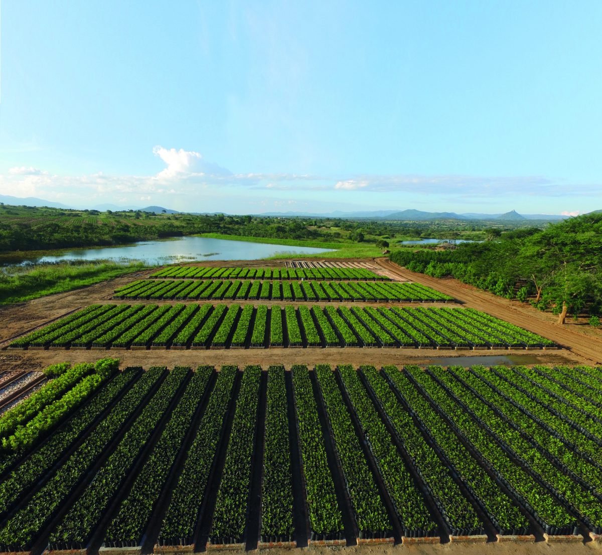 BII, Swedfund and Norfund invest $85 million in AgDevCo to support ...