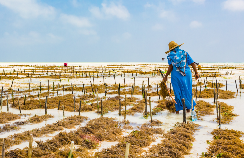 The African Climate Conversation - British International Investment