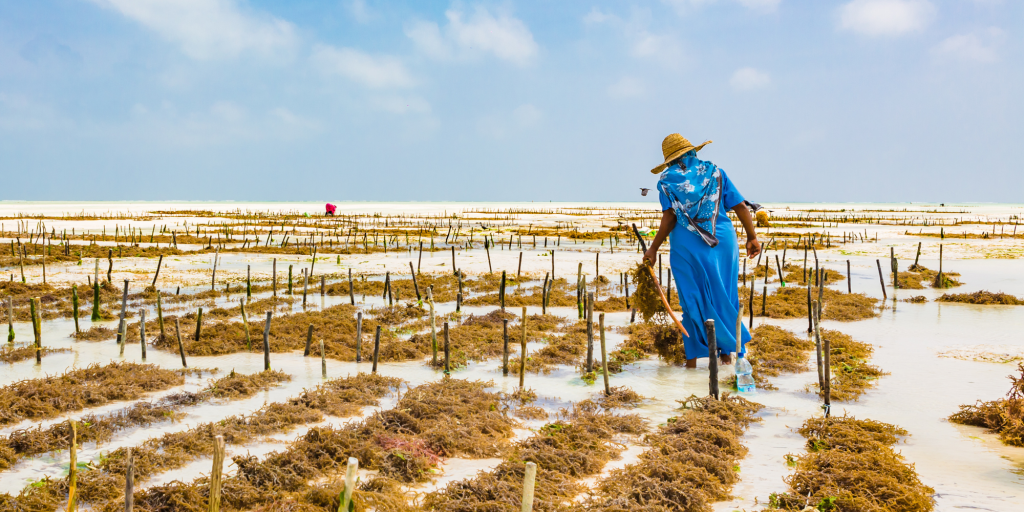 Abou Bamba discusses the impact of deforestation and tackling climate ...
