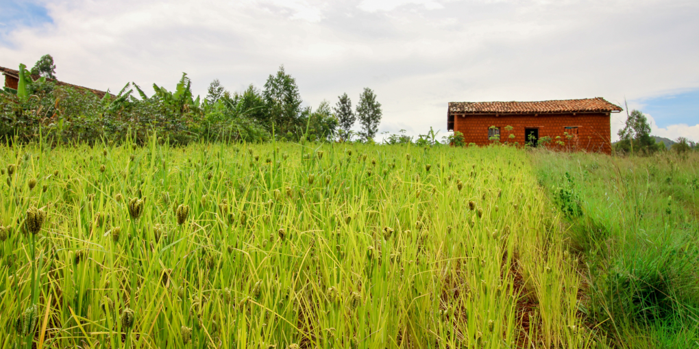 Rose Mutiso discusses Africa's energy transition - British ...