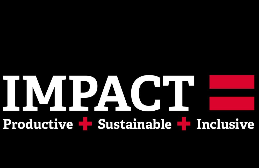 Impact Equals - British International Investment