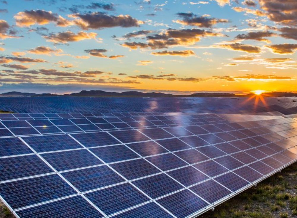 Future talent opportunities - British International Investment